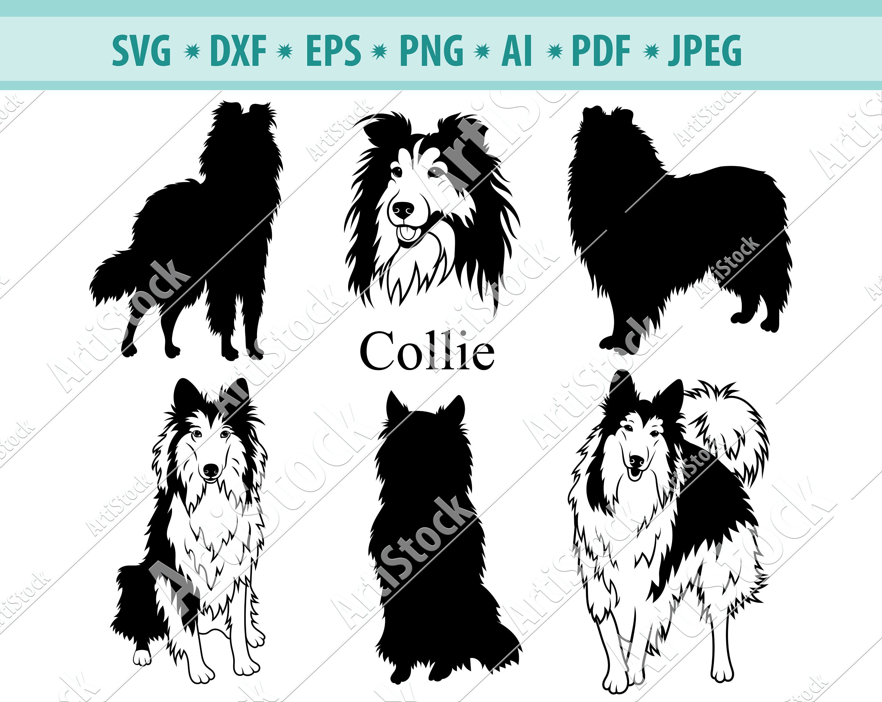 Collie SVG Collie Silhouette SVG Dog SVG Digital Cutting | Etsy Canada