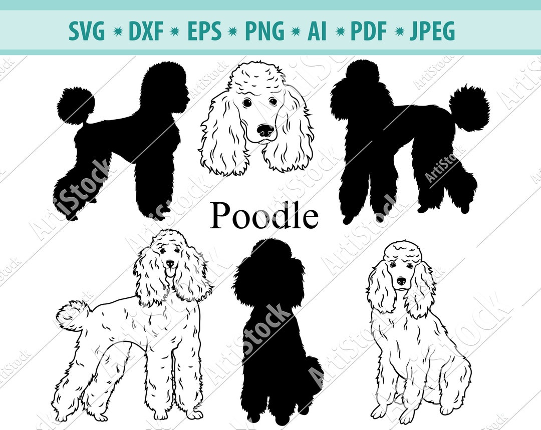 Caniche SVG-caniche standard SVG-chiens SVG-fichier de coupe numérique ...