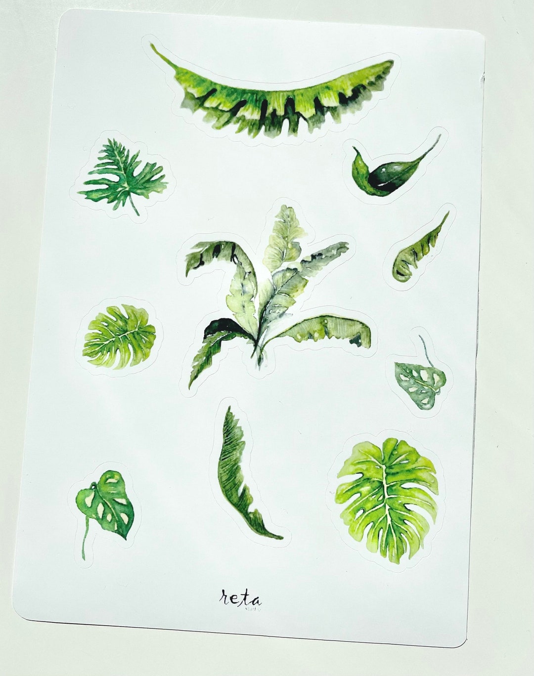 Jungle Sticker Sheet of Leafy Tropical Greens Palm Tree Monstera White ...