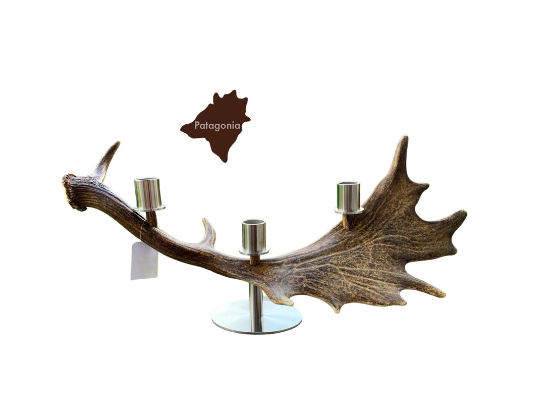 Candlestick With Fallow Deer Antlers - Candlestick in Real Deer Antler ...
