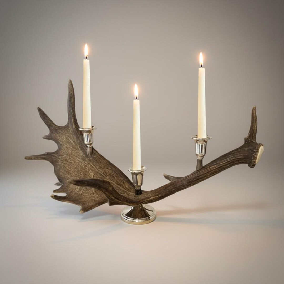 Candlestick With Fallow Deer Antlers - Elegant Real Deer Antler ...