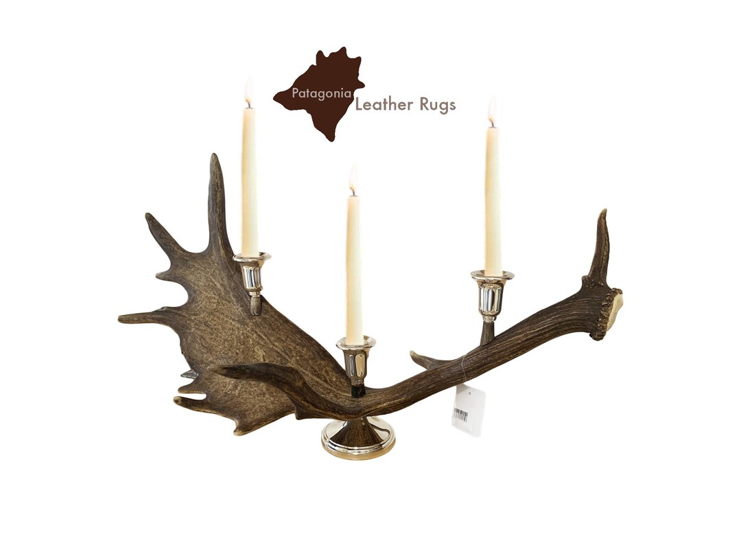 Candlestick With Fallow Deer Antlers - Elegant Real Deer Antler ...