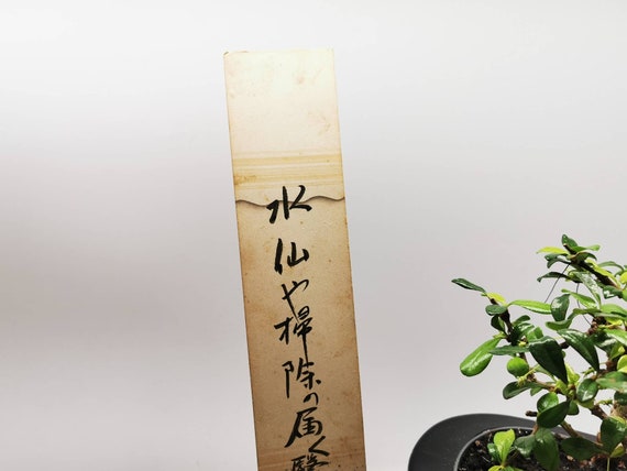 Japanese Scroll Style Watercolour Painting Japanese Kanji Script 36cm ...