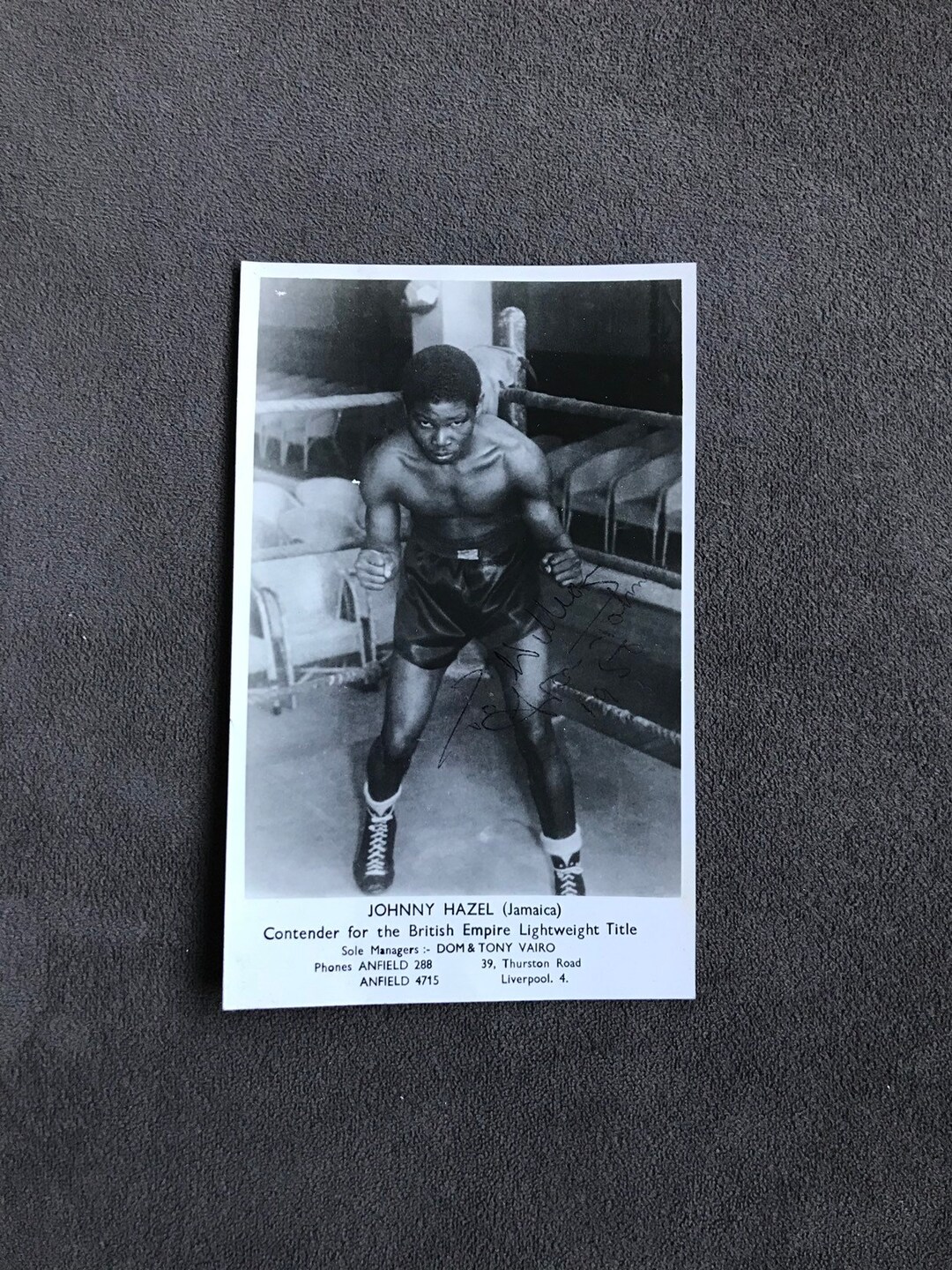 Signed 1950's Post Card of Boxer Johnny Hazel - Etsy