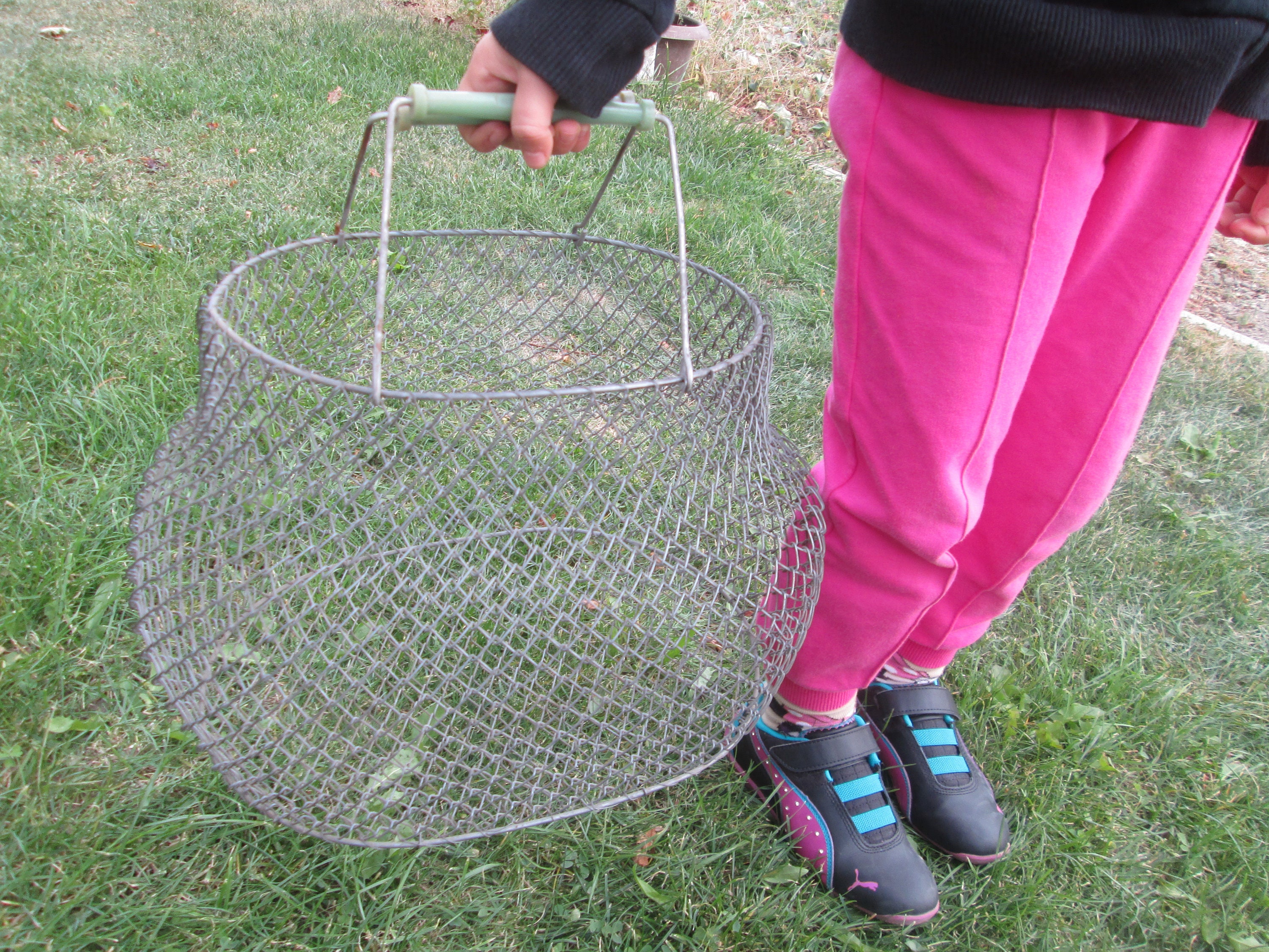Collapsible Wire Basket for sale| 85 ads for used Collapsible Wire Baskets