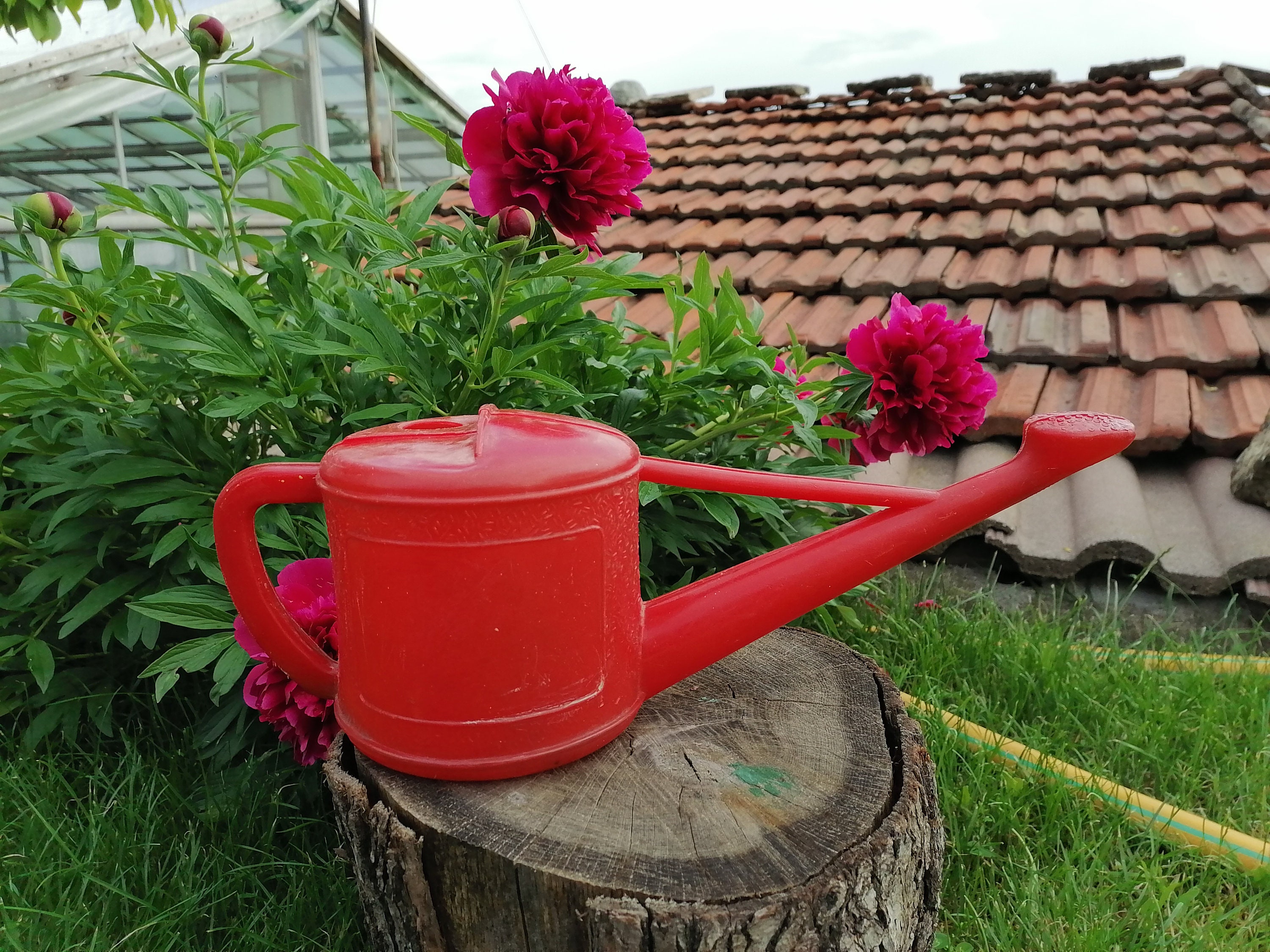 Child Watering Can Plastic Watering Pot Red Watering Can - Etsy UK