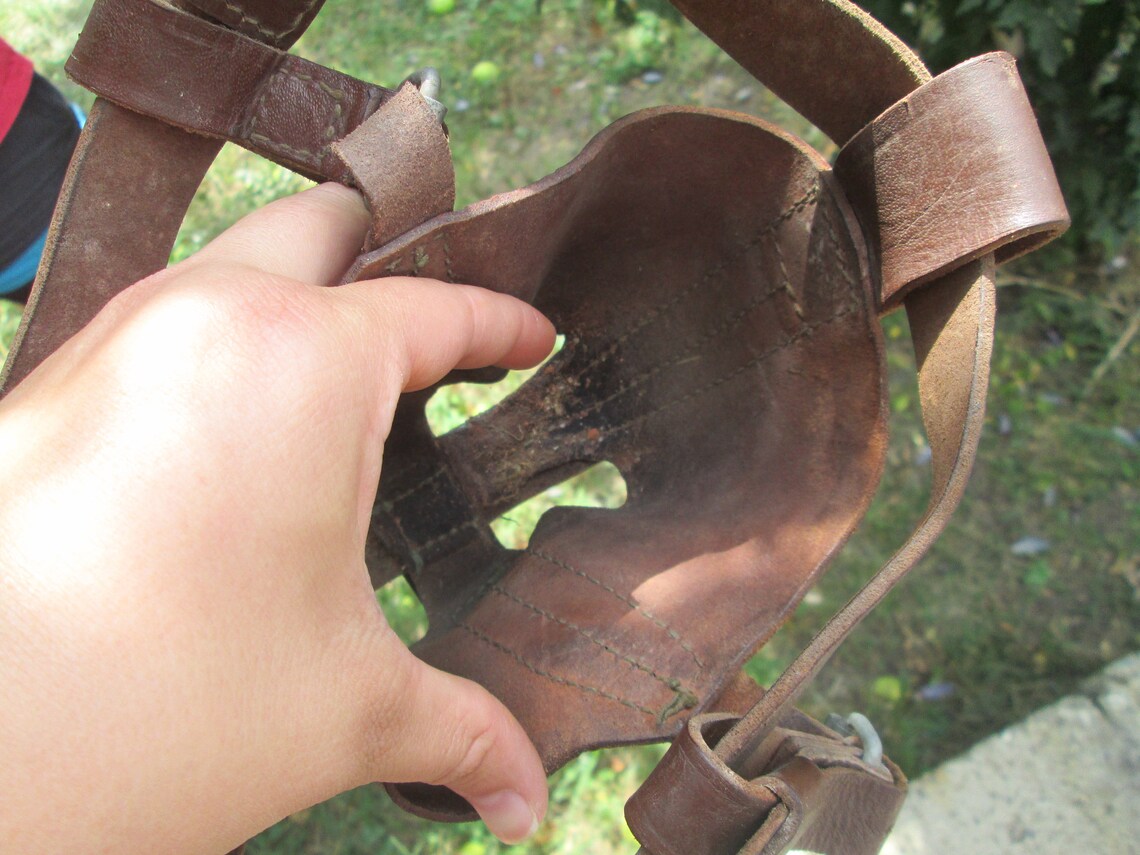 Vintage Leather Dog Muzzle Dark Brown Leather Dog Muzzle - Etsy
