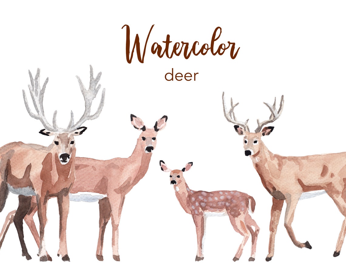 WATERCOLOR CLIPART Deer Clipart Watercolour Clipart Set - Etsy