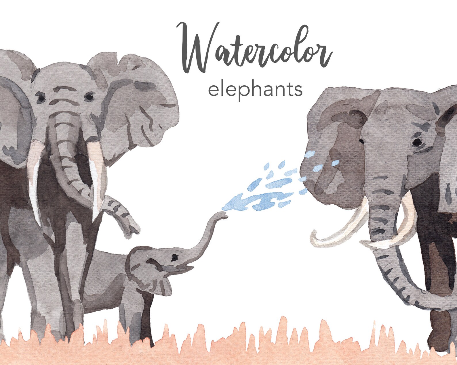 Watercolor Elephant Clipart Set, Safari Animals (PNG Files) - Etsy