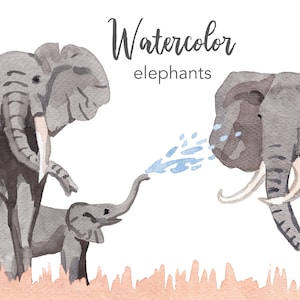 WATERCOLOR CLIPART, Elephant Clipart, Safari, Zoo Watercolour Clipart ...