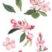 WATERCOLOR CLIPART, Apple Blossoms, Leaves, Branches, Nature, Tree ...
