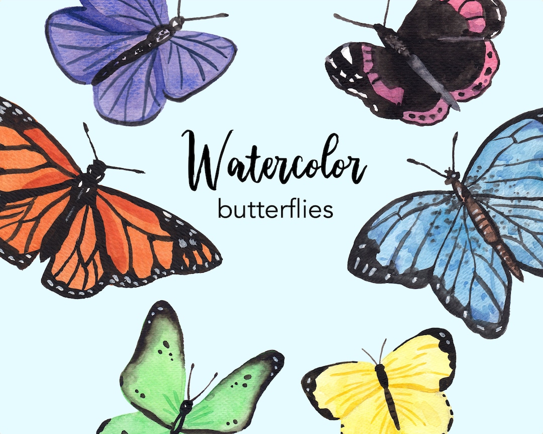 WATERCOLOR CLIPART, Butterfly Clipart, Insect, Watercolour Set ...
