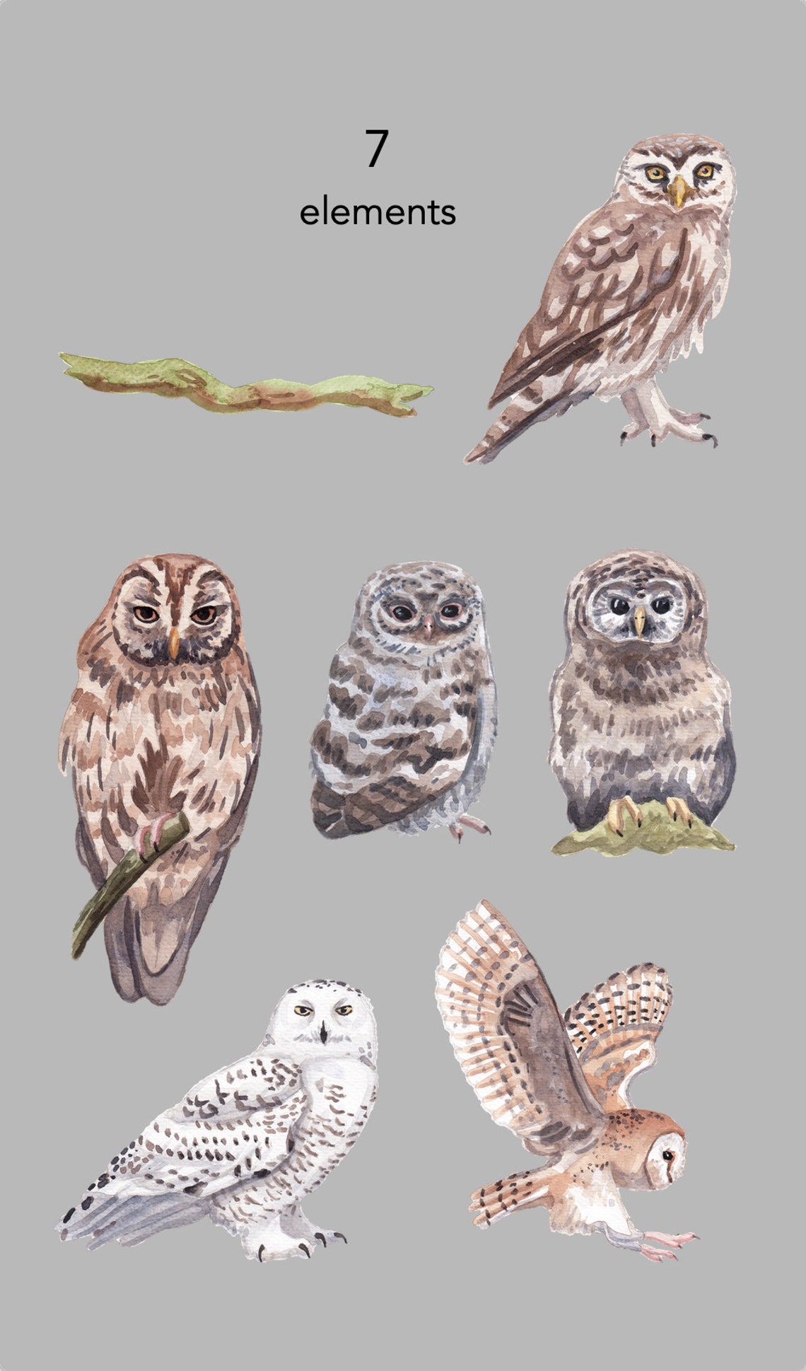 WATERCOLOR CLIPART, Owl Clipart 1, Watercolor Clip Art, Watercolour ...