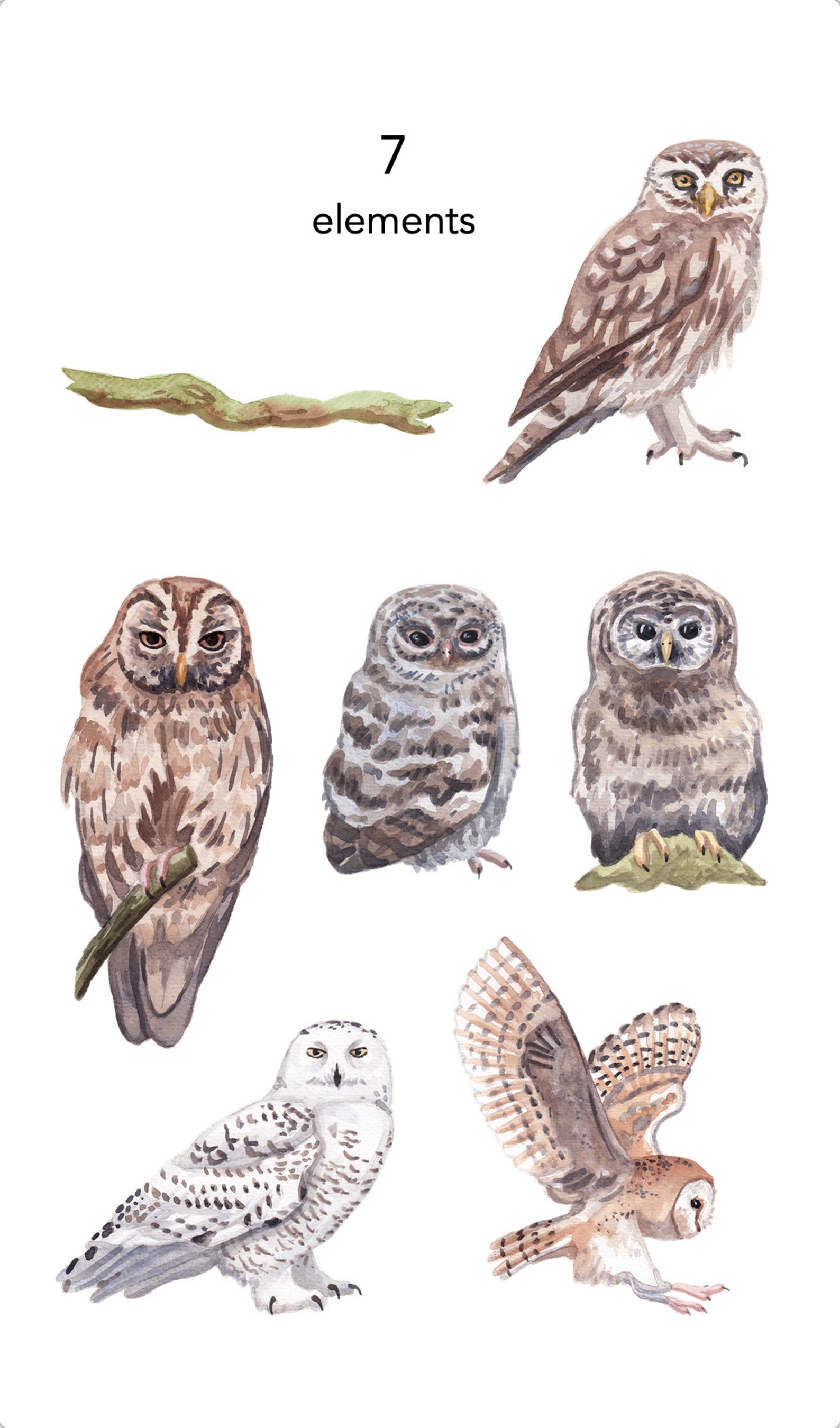WATERCOLOR CLIPART, Owl Clipart 1, Watercolor Clip Art, Watercolour ...