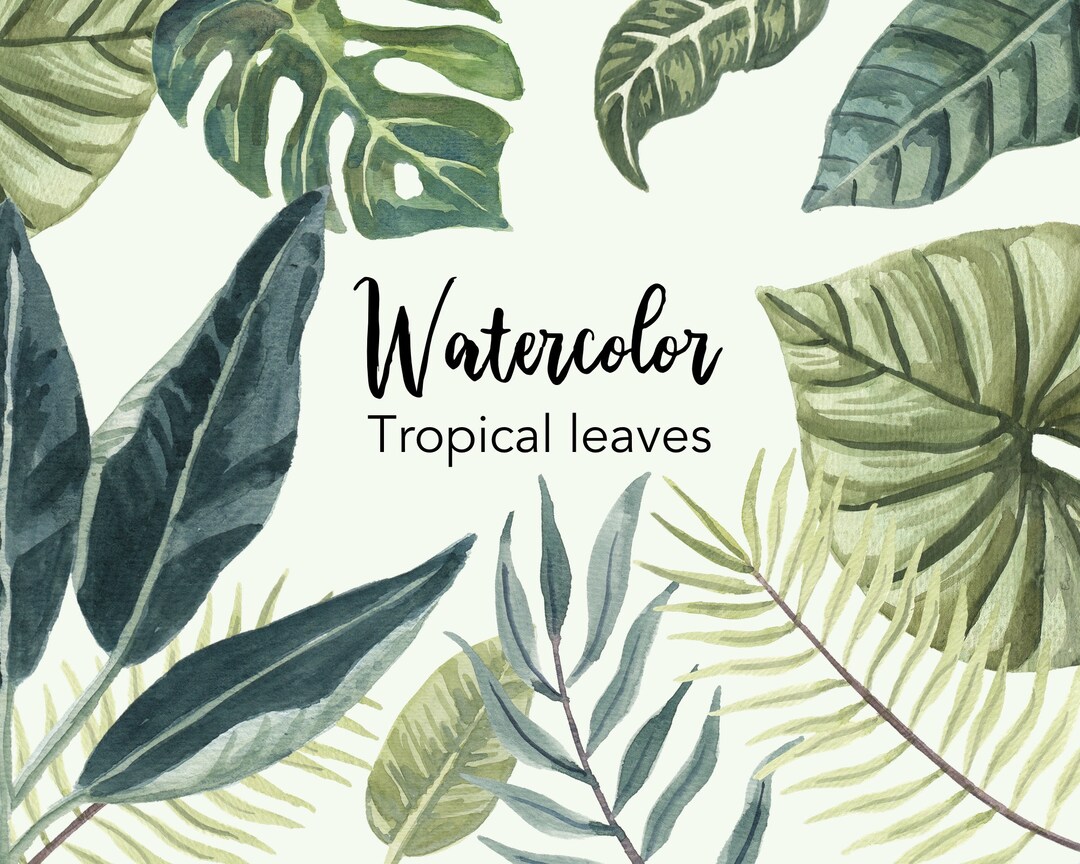 WATERCOLOR CLIPART, Tropical Leaves Clipart, Leaf Png, Leaf Clipart ...