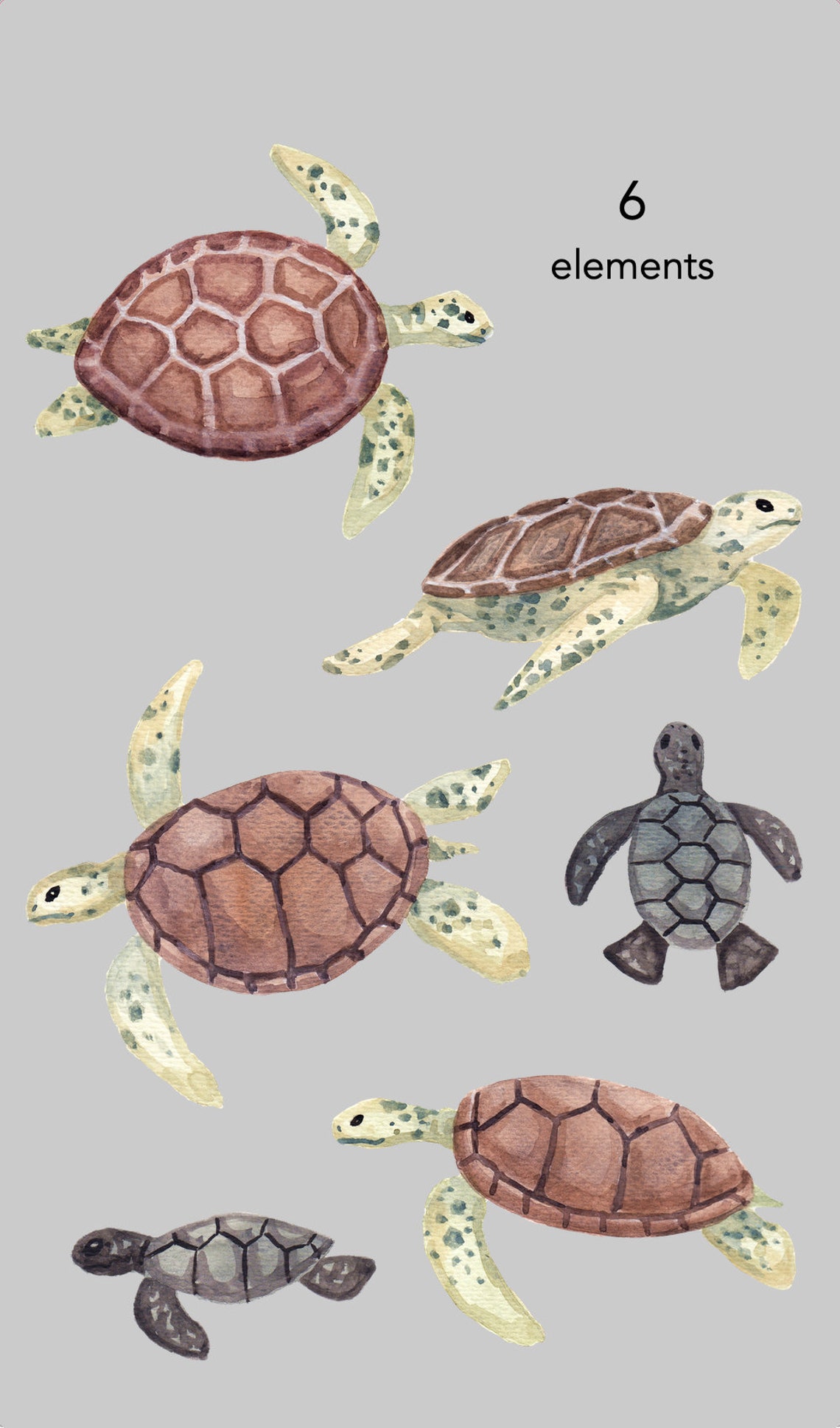 WATERCOLOR CLIPART, Sea Turtle Clipart, Watercolour Ocean Life Set ...