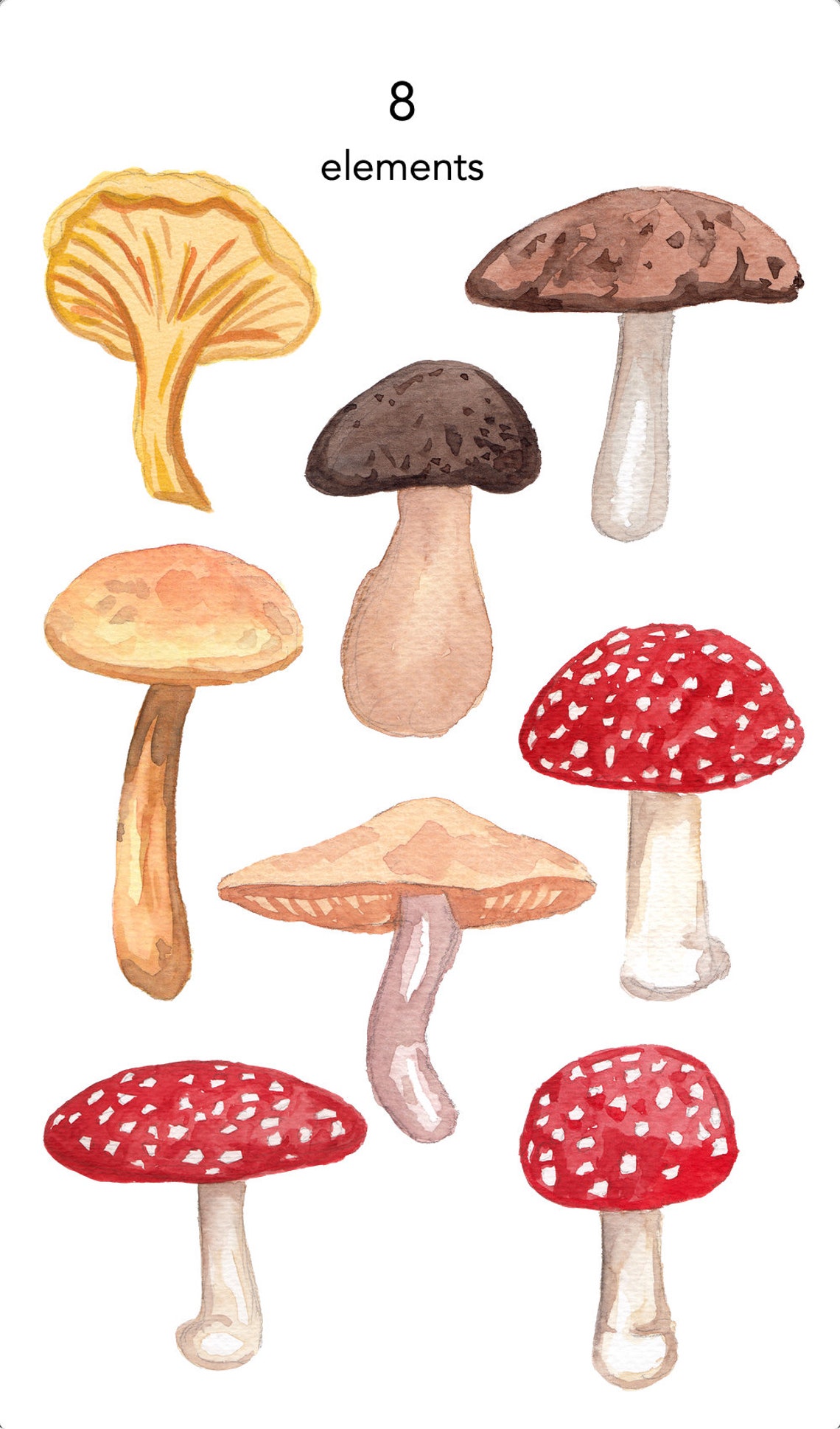 WATERCOLOR CLIPART Mushroom Clipart Watercolor Clipart - Etsy