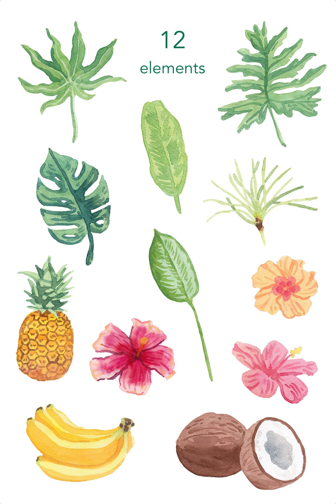 WATERCOLOR CLIPART, Tropical Clipart, Watercolour Clipart Set ...