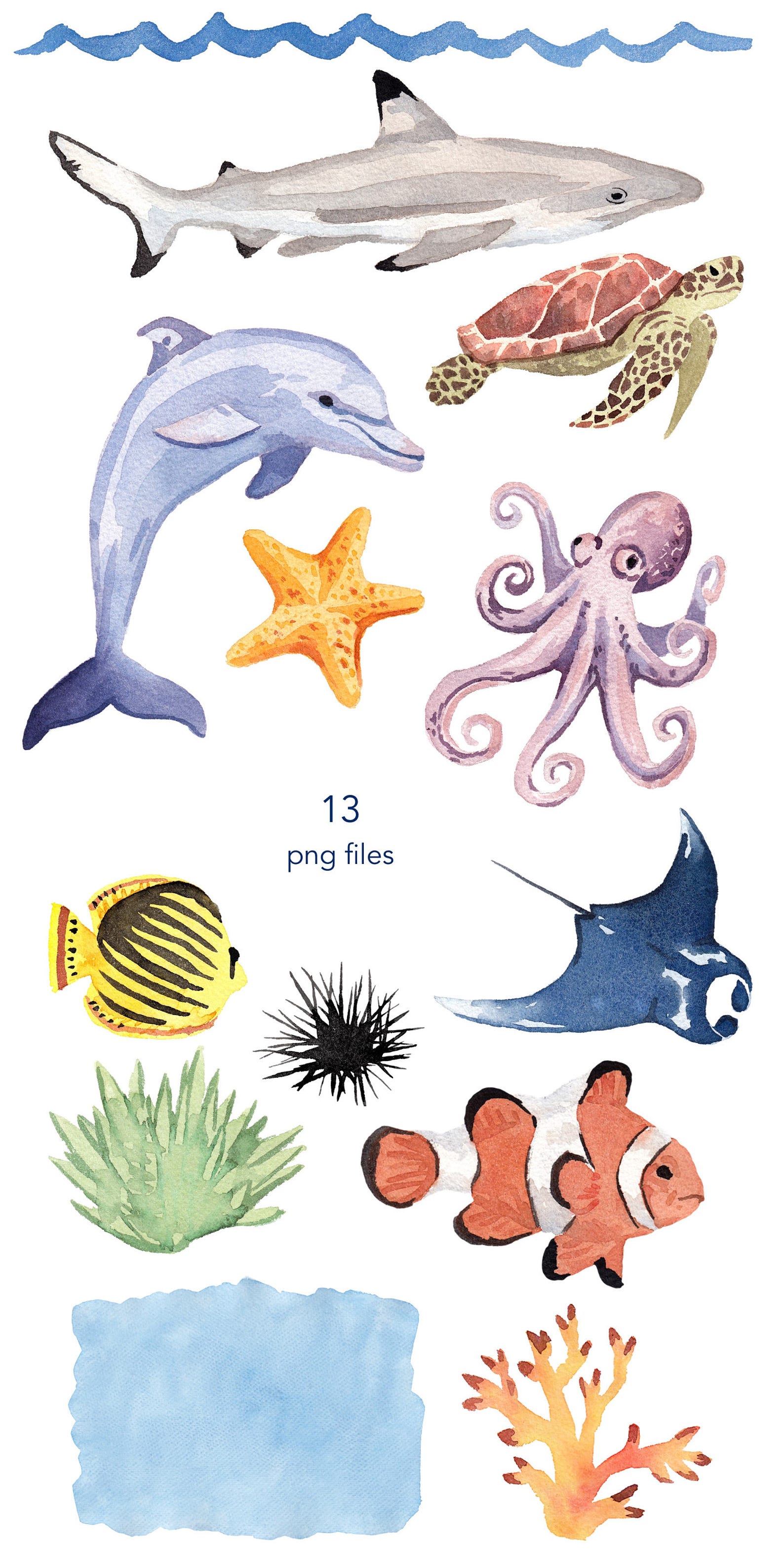 WATERCOLOR CLIPART Ocean Life Clipart Watercolour Clipart - Etsy