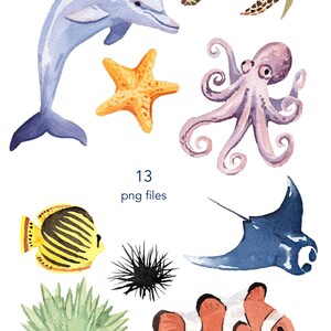 WATERCOLOR CLIPART, Ocean Life Clipart, Watercolour Clipart Set ...