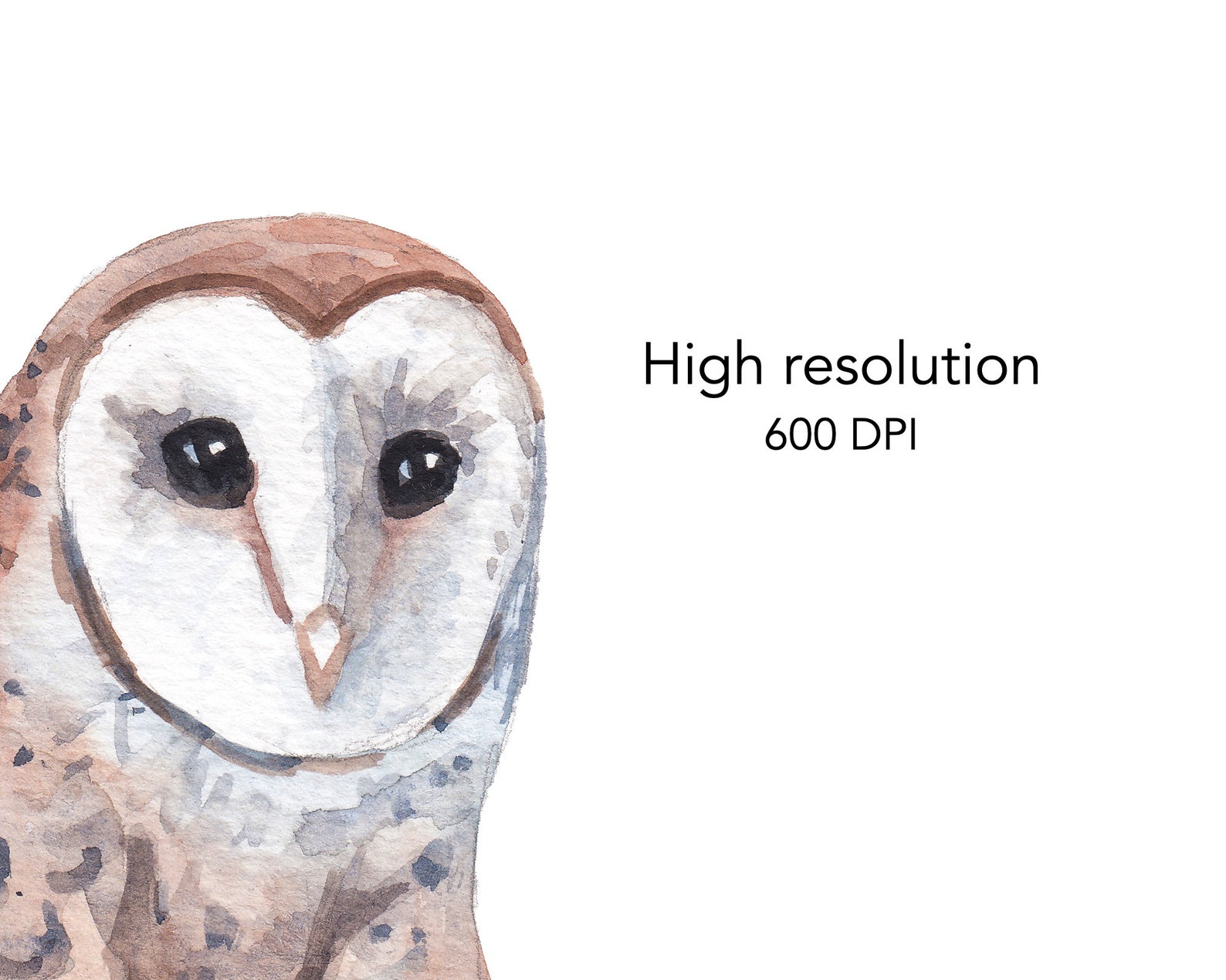 WATERCOLOR CLIPART, Owl Clipart 2, Watercolor Clip Art, Watercolour ...