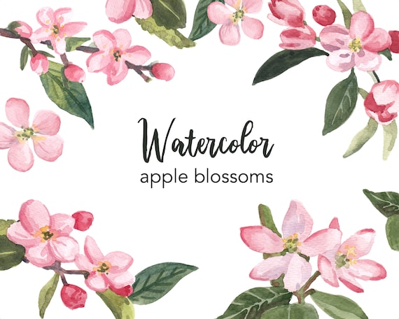 Apple Blossom Tree Clip Art
