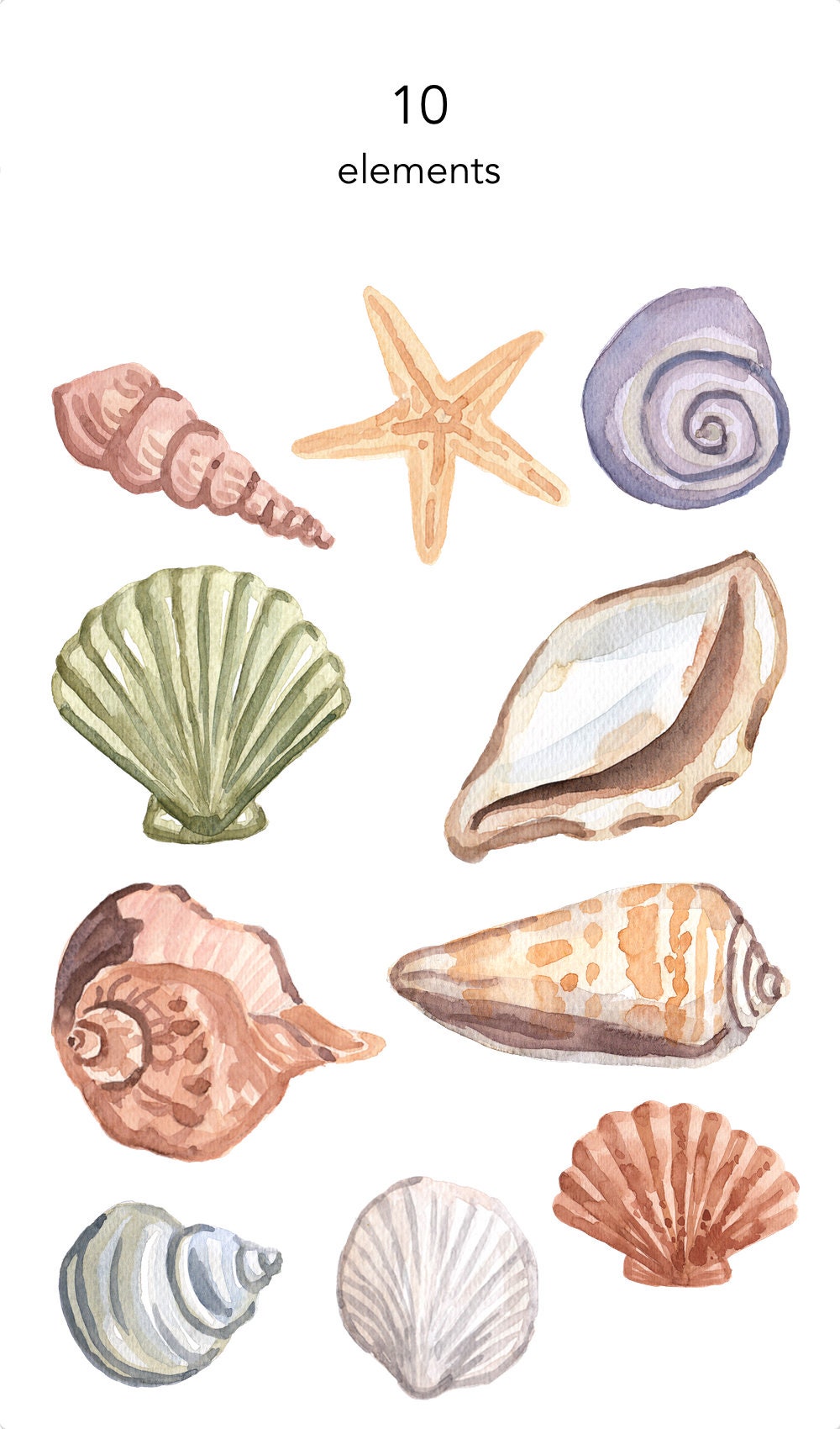 WATERCOLOR CLIPART, Seashells, Beach, Summer Vacation, Watercolour Sea ...