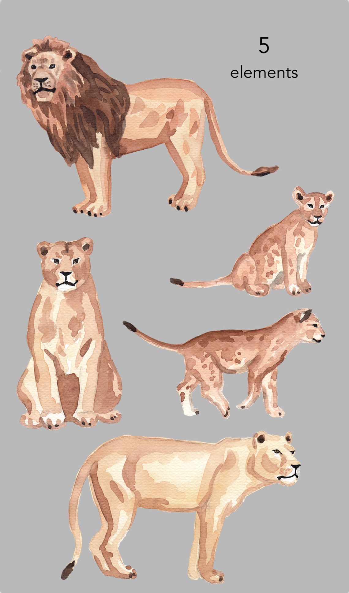 WATERCOLOR CLIPART, Lion Pride Clipart, Lion Cub Watercolour Clipart ...
