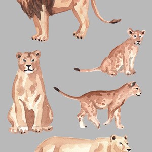 WATERCOLOR CLIPART, Lion Pride Clipart, Lion Cub Watercolour Clipart ...