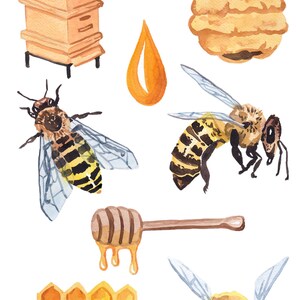 WATERCOLOR CLIPART, Bee Clipart, Honey, Nature, Scrapbooking Clip Art ...