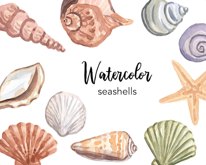 WATERCOLOR CLIPART, Seashells, Beach, Summer Vacation, Watercolour Sea ...