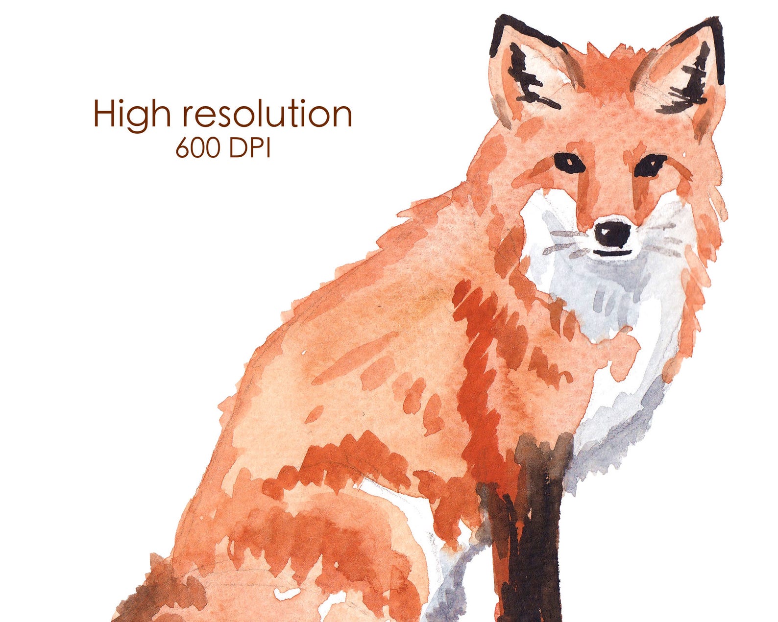 WATERCOLOR CLIPART Fox Clipart Woodland Nursery - Etsy