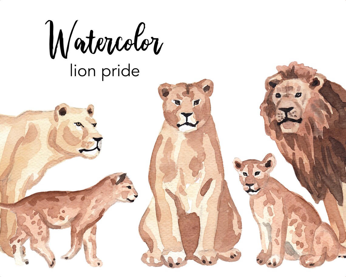 WATERCOLOR CLIPART, Lion Pride Clipart, Lion Cub Watercolour Clipart ...