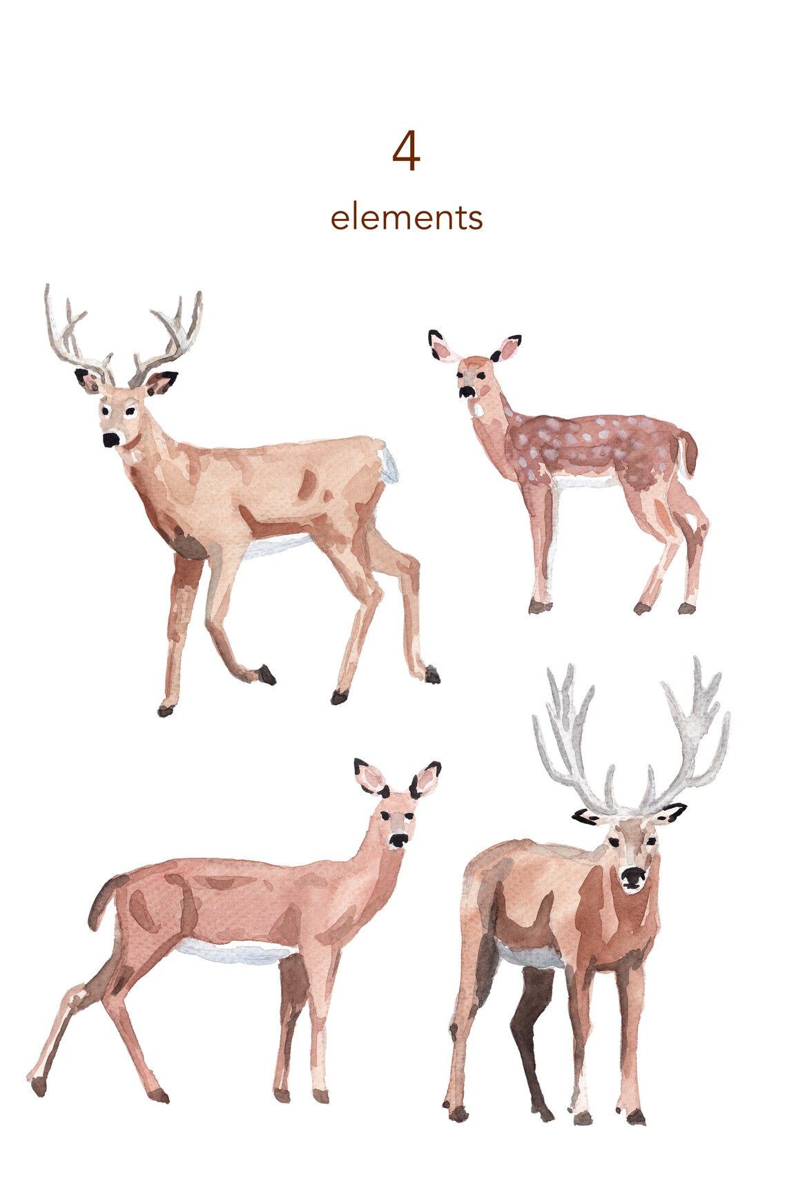 WATERCOLOR CLIPART Deer Clipart Watercolour Clipart Set - Etsy