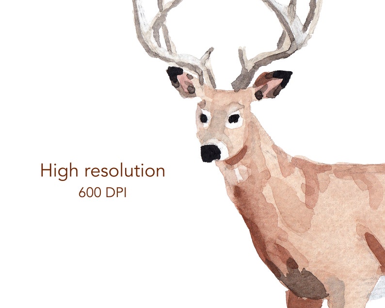 WATERCOLOR CLIPART Deer Clipart Watercolour Clipart Set - Etsy
