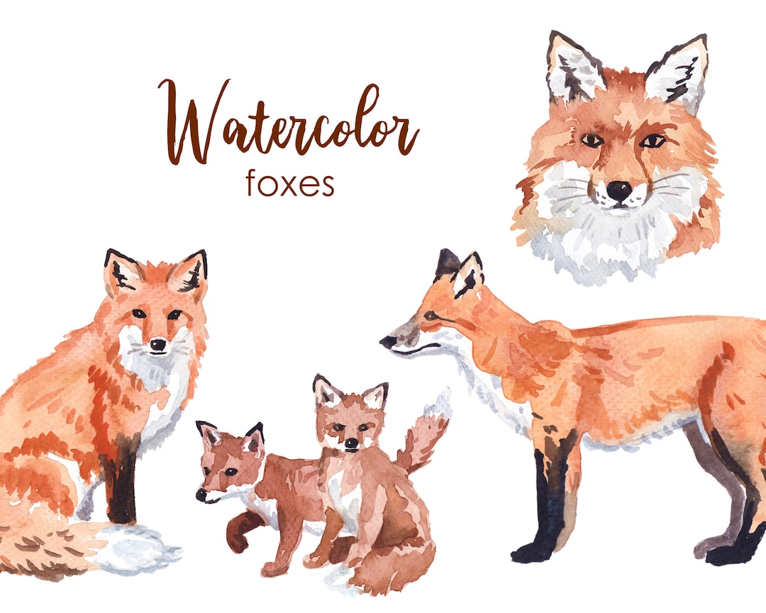 WATERCOLOR CLIPART, Fox Clipart, Woodland, Nursery, Scrapbooking Clip ...