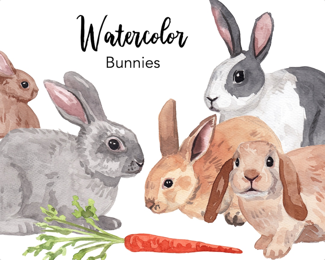 Watercolor Bunny Clipart Set, Commercial Use (PNG Files) - Etsy