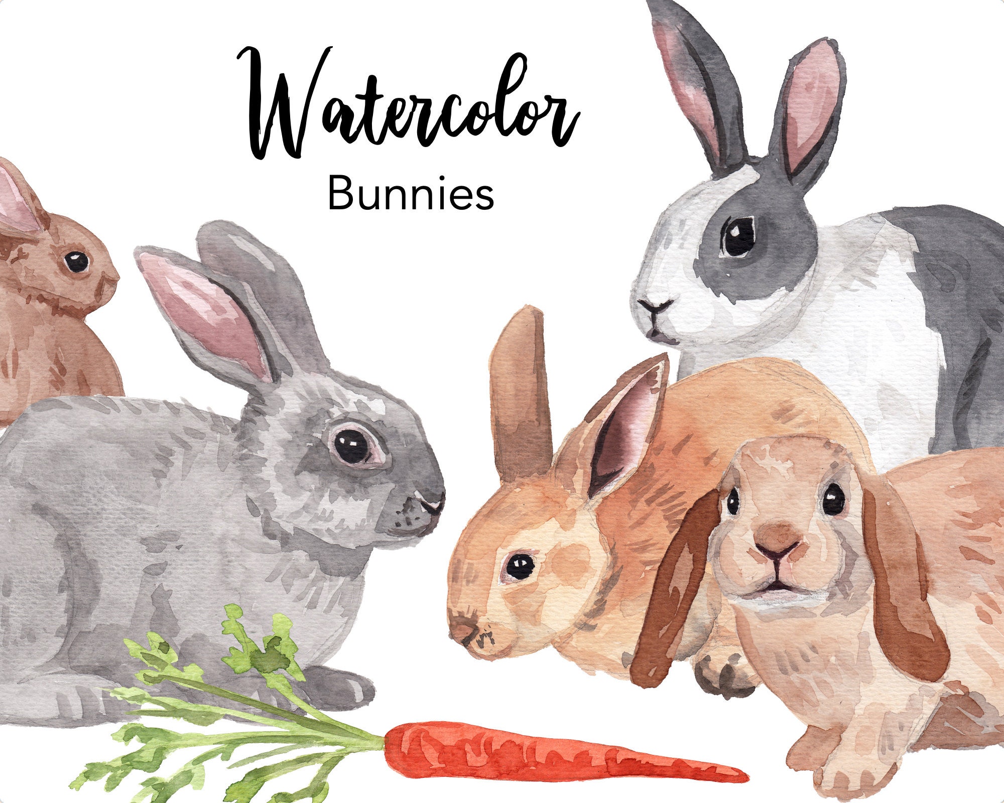 WATERCOLOR CLIPART Bunny Clipart Pet Watercolour Clipart - Etsy