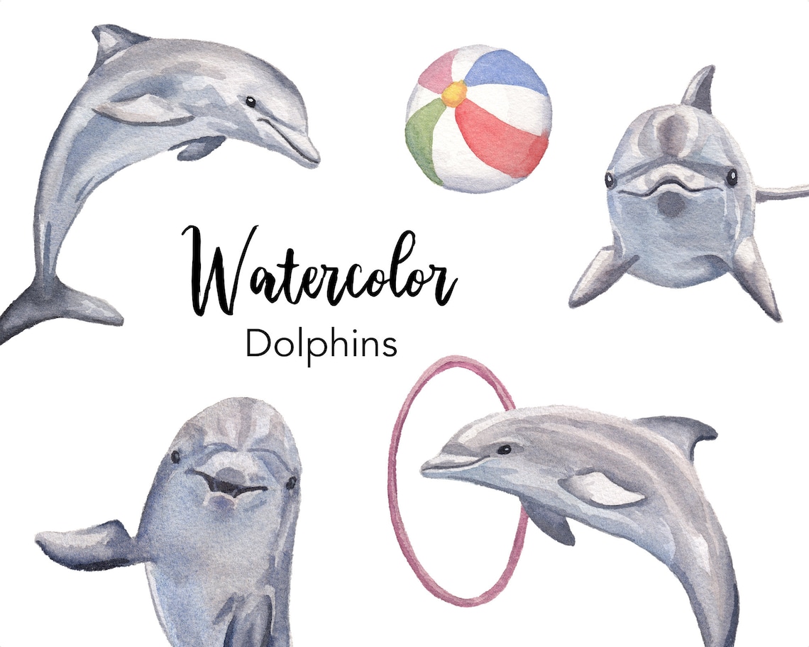WATERCOLOR CLIPART, Dolphin Clipart, Ocean Beach Summer Vacation ...