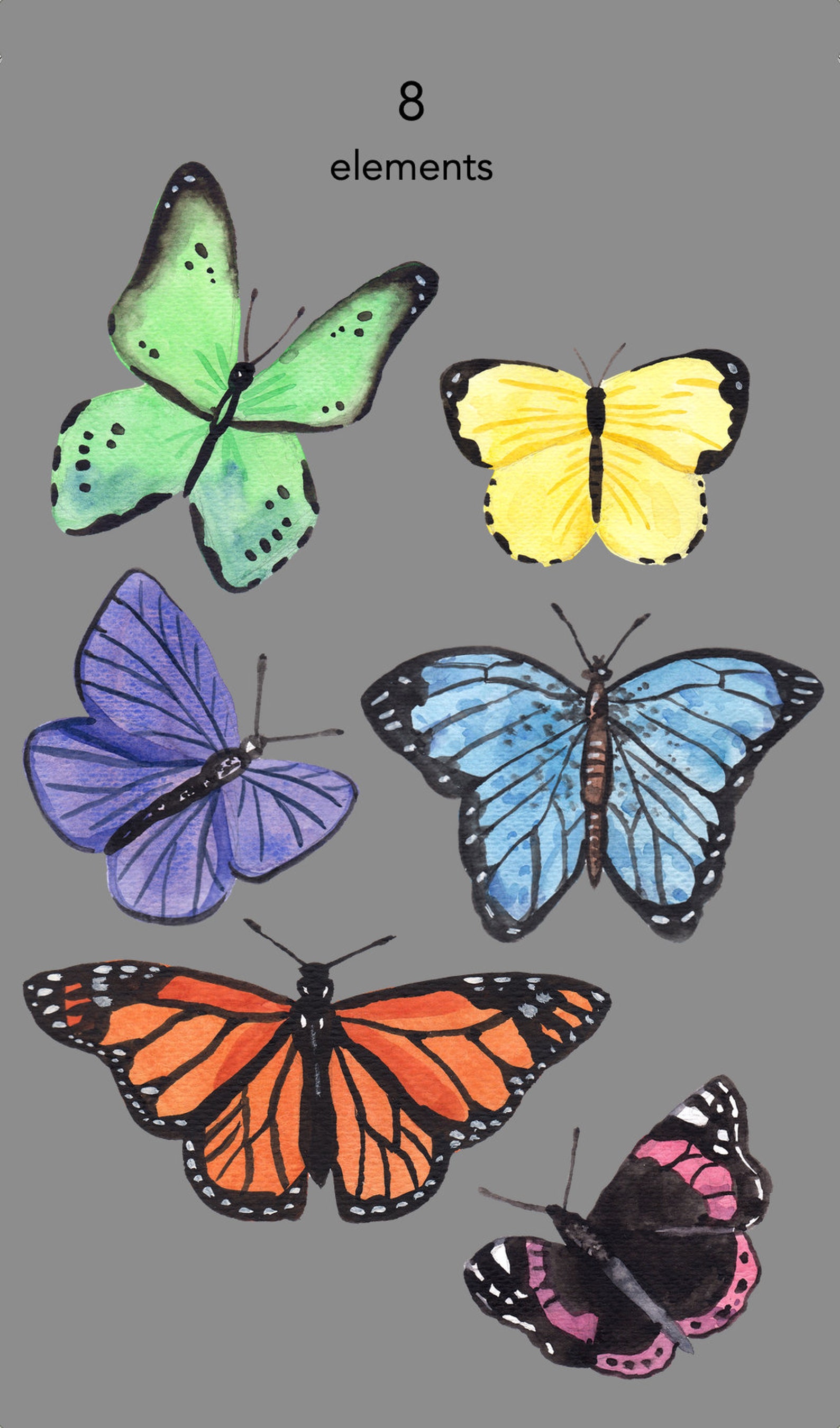 WATERCOLOR CLIPART, Butterfly Clipart, Insect, Watercolour Set ...