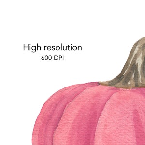 WATERCOLOR CLIPART, Pink Pumpkins Clipart, Halloween Images ...