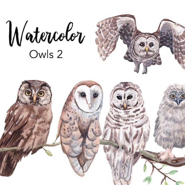 Owl Clip Art - Etsy