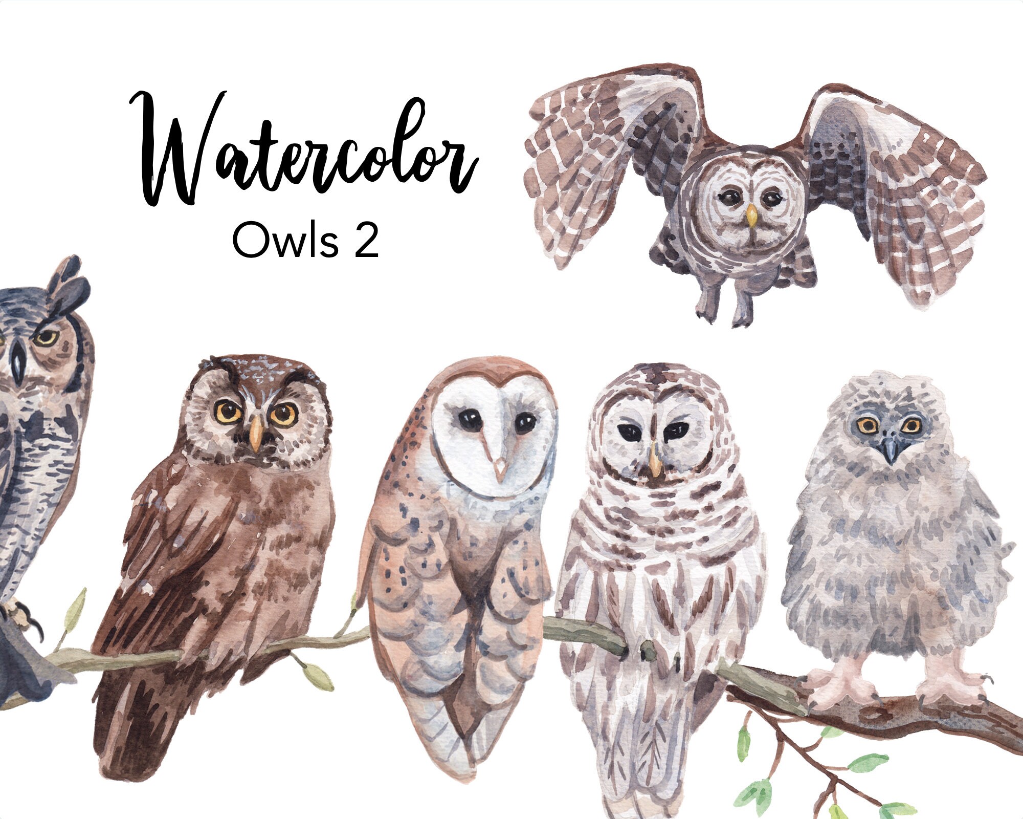 WATERCOLOR CLIPART, Owl Clipart 2, Watercolor Clip Art, Watercolour ...