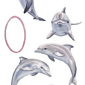 WATERCOLOR CLIPART, Dolphin Clipart, Ocean Beach Summer Vacation ...
