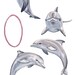 WATERCOLOR CLIPART, Dolphin Clipart, Ocean Beach Summer Vacation ...