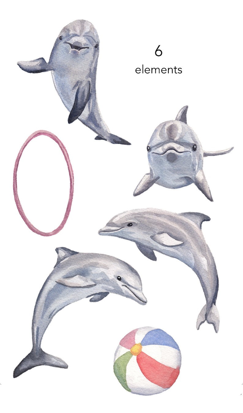 WATERCOLOR CLIPART, Dolphin Clipart, Ocean Beach Summer Vacation ...