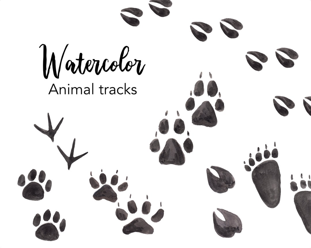WATERCOLOR CLIPART, Animal Tracks Clipart, Watercolour Clipart Set ...