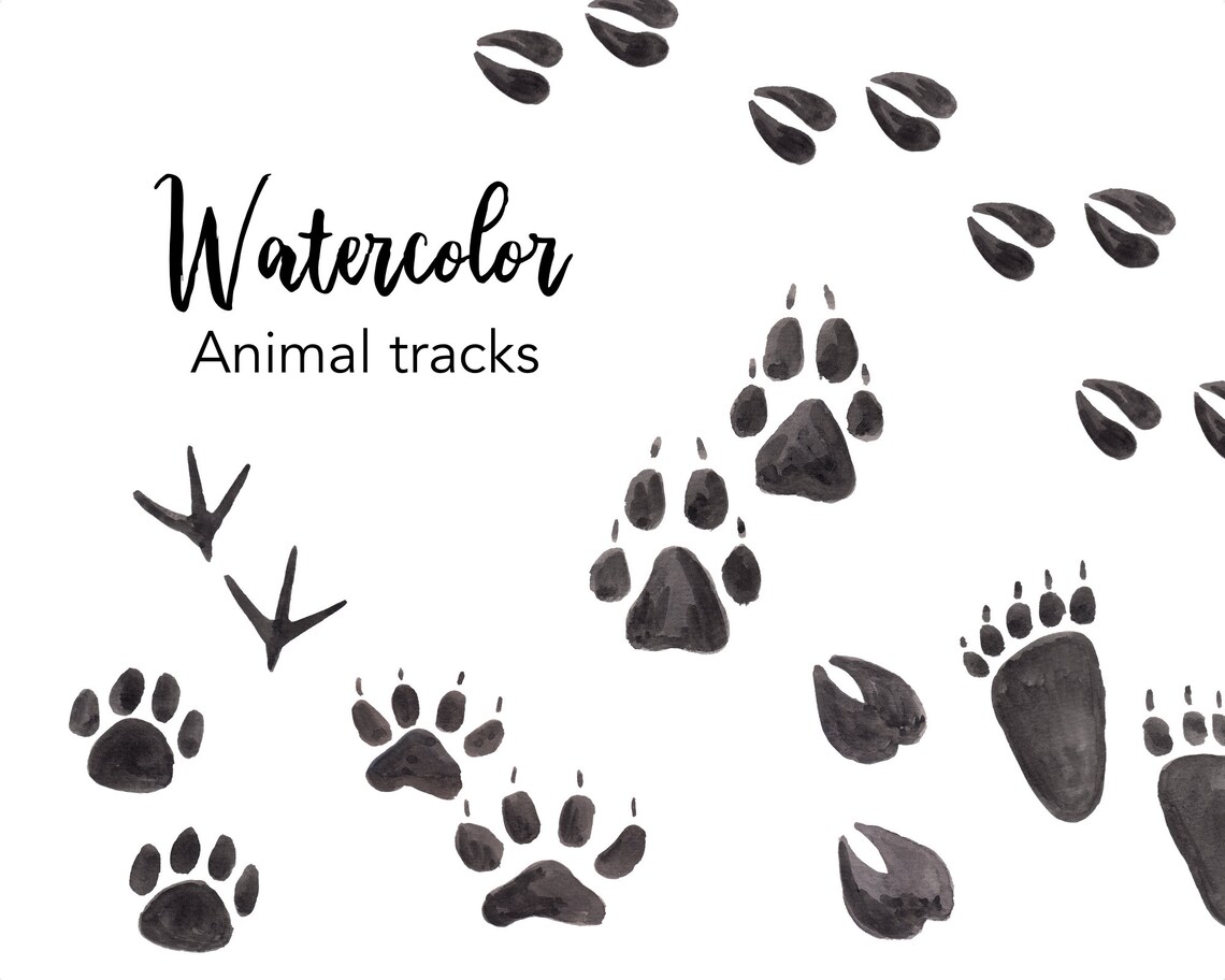 WATERCOLOR CLIPART, Animal Tracks Clipart, Watercolour Clipart Set ...
