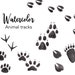 WATERCOLOR CLIPART, Animal Tracks Clipart, Watercolour Clipart Set ...