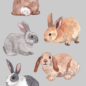 WATERCOLOR CLIPART, Bunny Clipart, Pet Watercolour Clipart Set ...